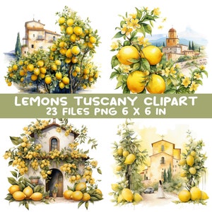 23 PNG Tuscany Lemon Clipart Bundle, Watercolor Italian Limoncello ...
