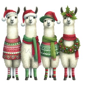 Festive Christmas Llama Clipart PNG - 15 Adorable Holiday Llamas ...