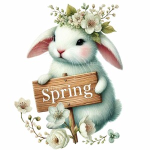 14 Spring Bunny PNG Clipart - Adorable Rabbit With Blossoms and Wooden ...