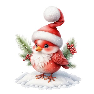 Red Bird Clipart Bundle PNG, 25 Watercolor Winter Cardinal Clip Art ...