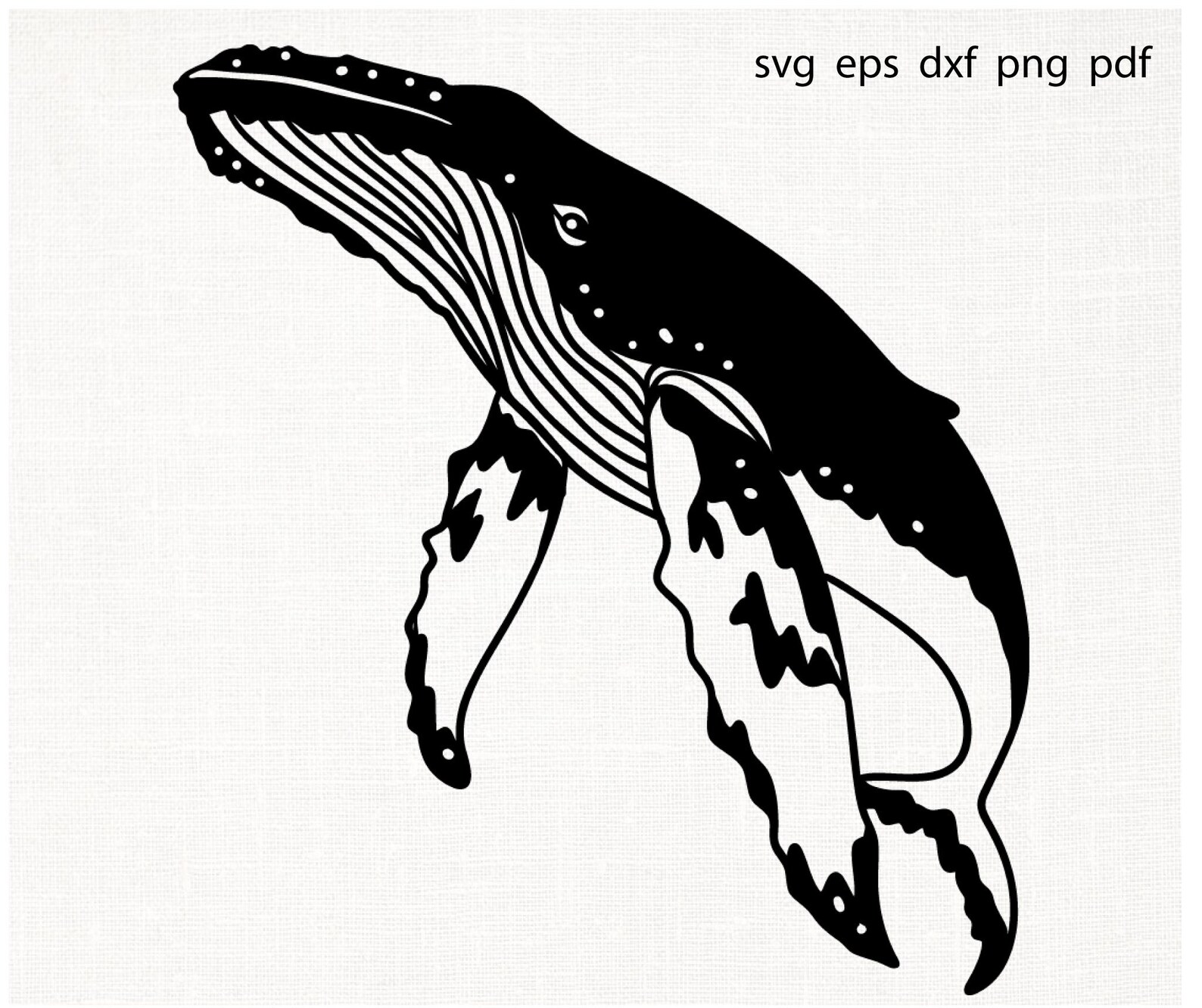Humpback Whale Svg Summer Beach Shirt Ocean Marine Underwater - Etsy