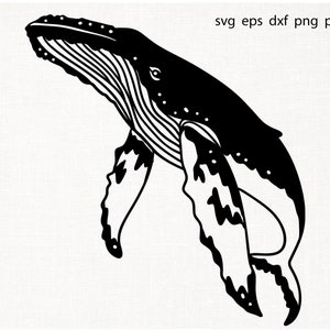 Humpback Whale Svg, Summer Beach Shirt Ocean Marine Underwater Animal ...
