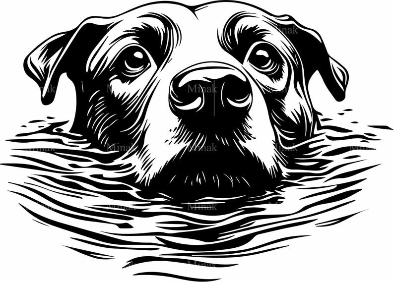 4 SVG Swimming Dog SVG Cut File - Labrador Retriever Emerging From ...
