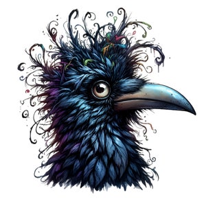 Raven Bird Funny Comics 12 PNG Cartoon Illustration Clipart - Etsy