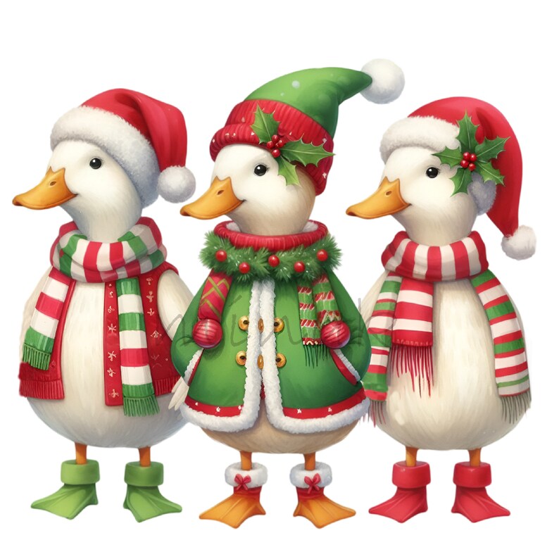12 PNG Christmas Duck Clipart - Cute Festive Ducks PNG Illustration ...