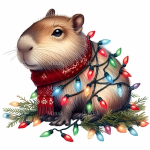10 Christmas Capybara With Santa Hat and Lights Clipart. Festive ...