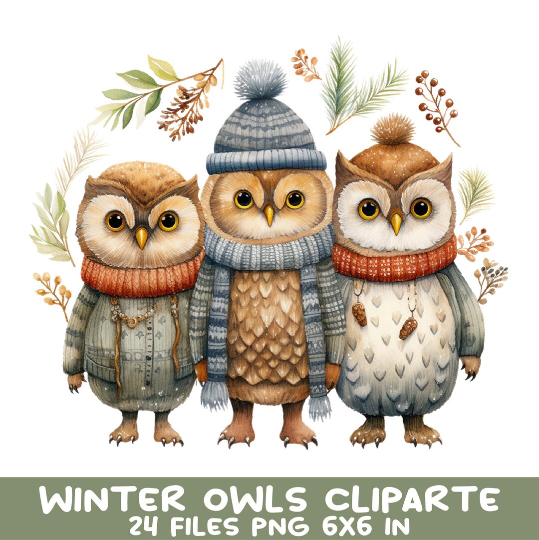 Winter Owls Clipart Cute Owls in Sweaters and Hats 24 PNG Files for ...
