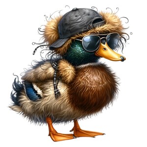 Cool Duck Clipart PNG - 14 Adorable Cartoon Duck With Sunglasses and ...