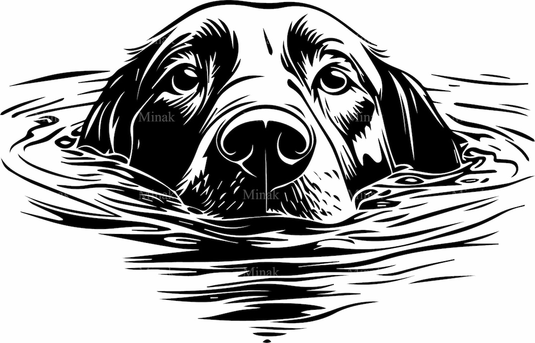 4 SVG Swimming Dog SVG Cut File - Labrador Retriever Emerging From ...
