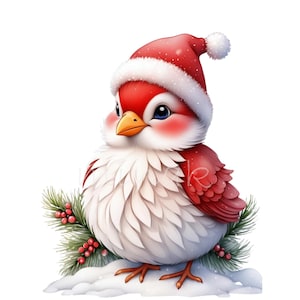 Red Bird Clipart Bundle PNG, 25 Watercolor Winter Cardinal Clip Art ...