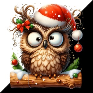 Christmas Owl Clipart PNG, 15 Cute Owl With Santa Hat and Ornaments ...