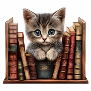 14 Kitten in Bookshelf PNG Clipart – Cute Library Cat With Vintage ...