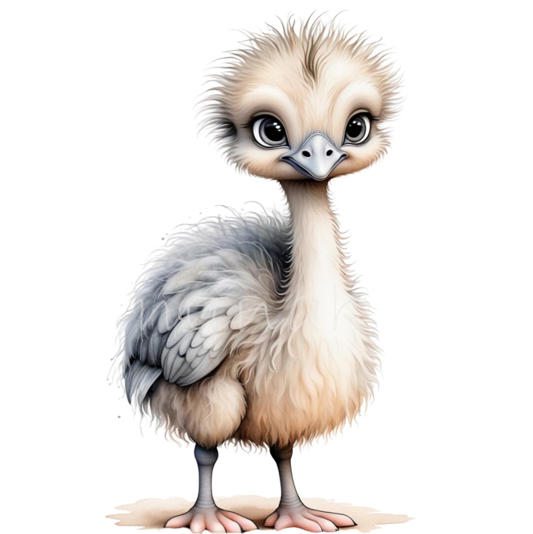 Emu Clipart Bundle PNG, 20 Watercolor Australia Bird Clip Art, Printable, Digital Downloads ...