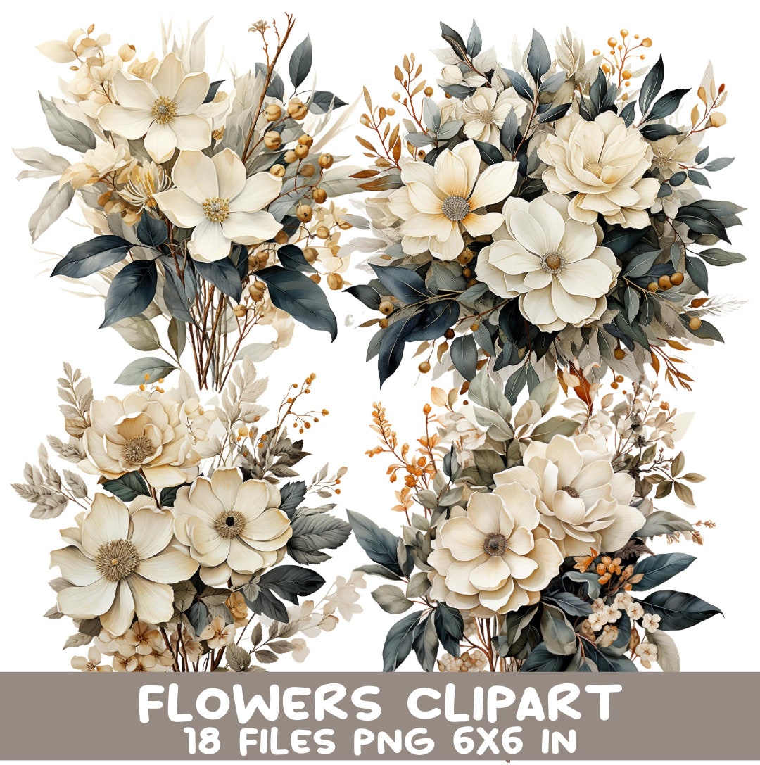 Neutral Flowers Clipart Bundle 18 PNG Watercolor Soft White - Etsy
