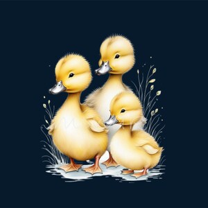 20 Cute Baby Duck Clipart PNG, Fluffy Yellow Duckling With Spring ...