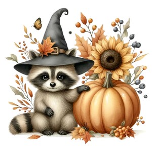 Raccoon Witch Clipart With Pumpkin and Sunflowers, Autumn Harvest Art ...