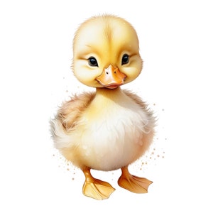 Duckling Clipart Bundle PNG, 17 Watercolor Baby Duck Clip Art ...