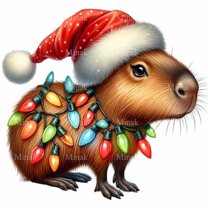 10 Christmas Capybara With Santa Hat and Lights Clipart. Festive ...