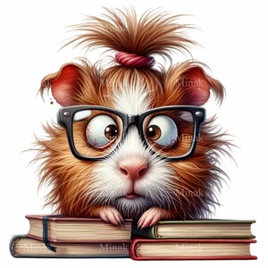 12 PNG School Guinea Pig Clipart – Cute Nerdy Guinea Pig PNG – Back to ...
