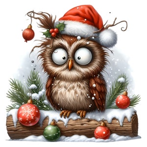 Christmas Owl Clipart PNG, 15 Cute Owl With Santa Hat and Ornaments ...