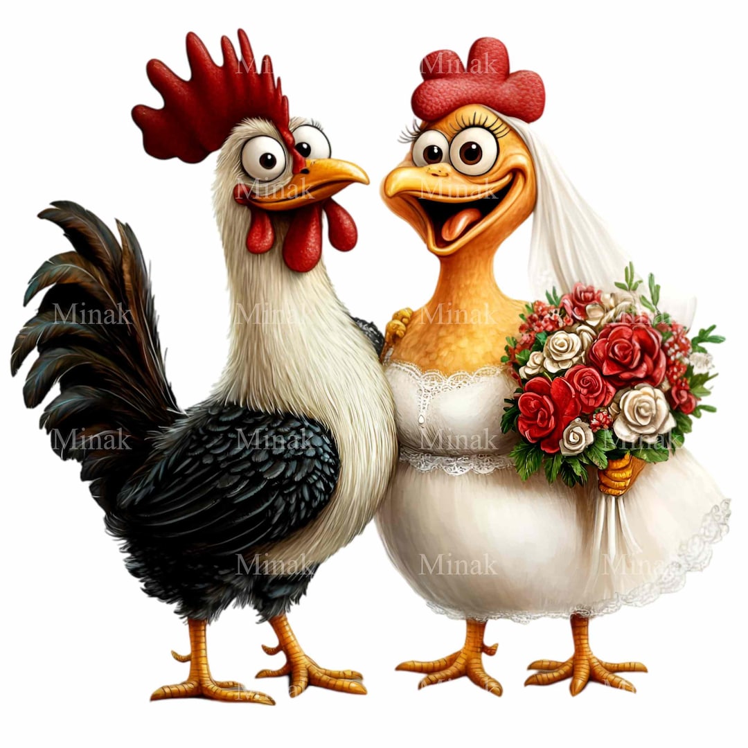 12 Wedding Chickens PNG Clipart - Funny Bride and Groom Illustration ...