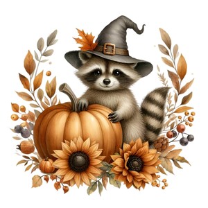 Raccoon Witch Clipart With Pumpkin and Sunflowers, Autumn Harvest Art ...