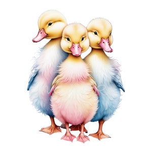 Adorable Duckling PNG Clipart, 12 Cute Baby Ducks Illustration ...