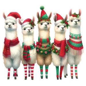 Festive Christmas Llama Clipart PNG - 15 Adorable Holiday Llamas ...
