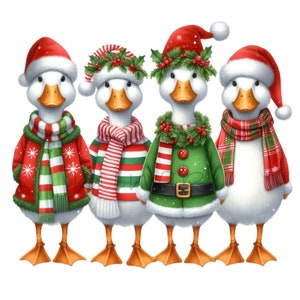 Christmas Ducks Clipart, 15 Festive Holiday Duck PNG, Santa and Elf ...