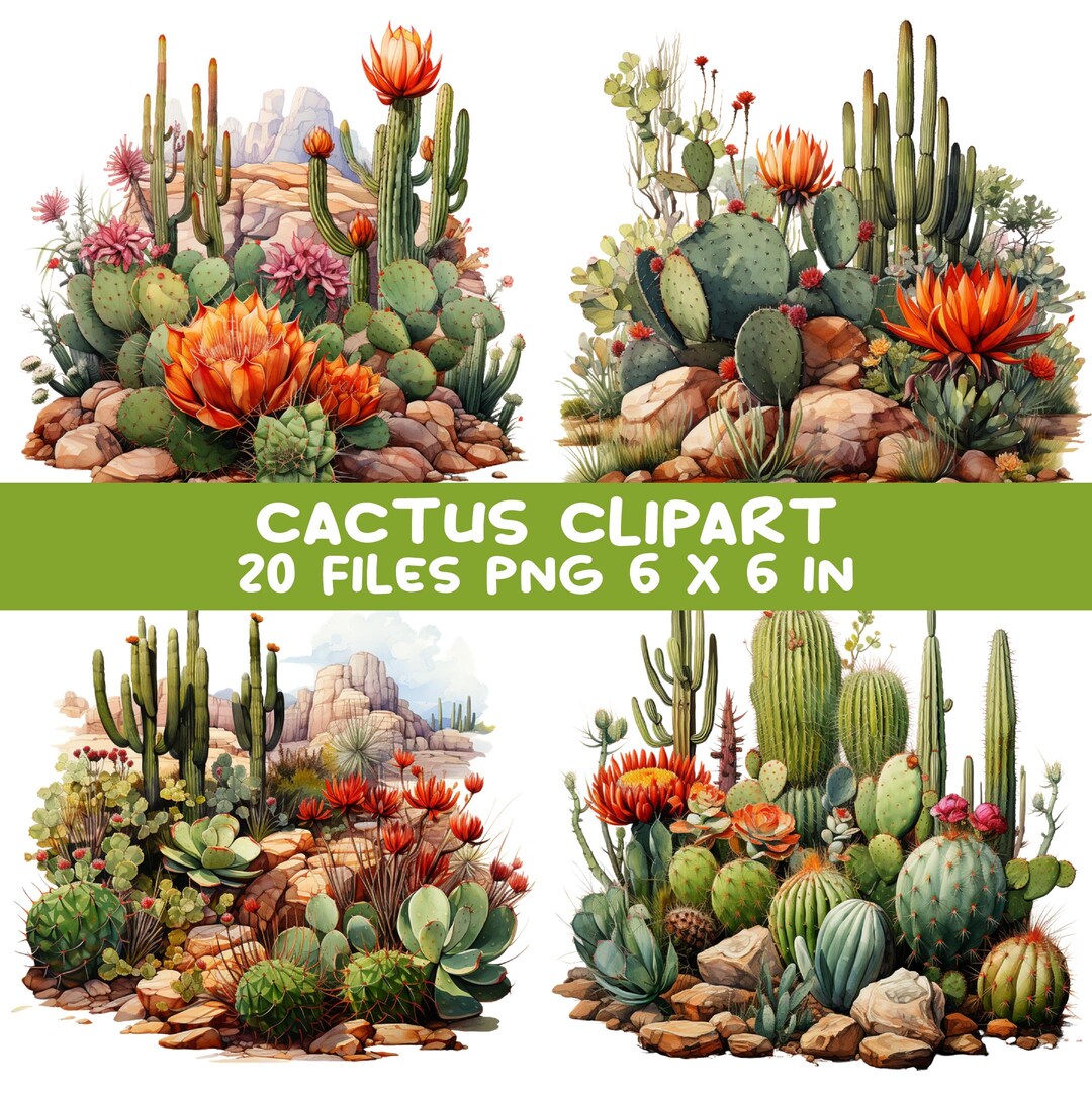 Cactus Clipart Bundle 20 PNG Watercolor Desert Cactus Flower - Etsy