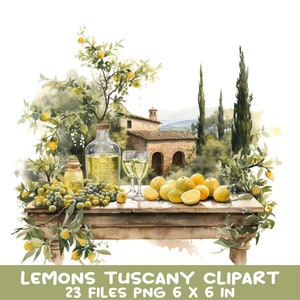 23 PNG Tuscany Lemon Clipart Bundle, Watercolor Italian Limoncello ...