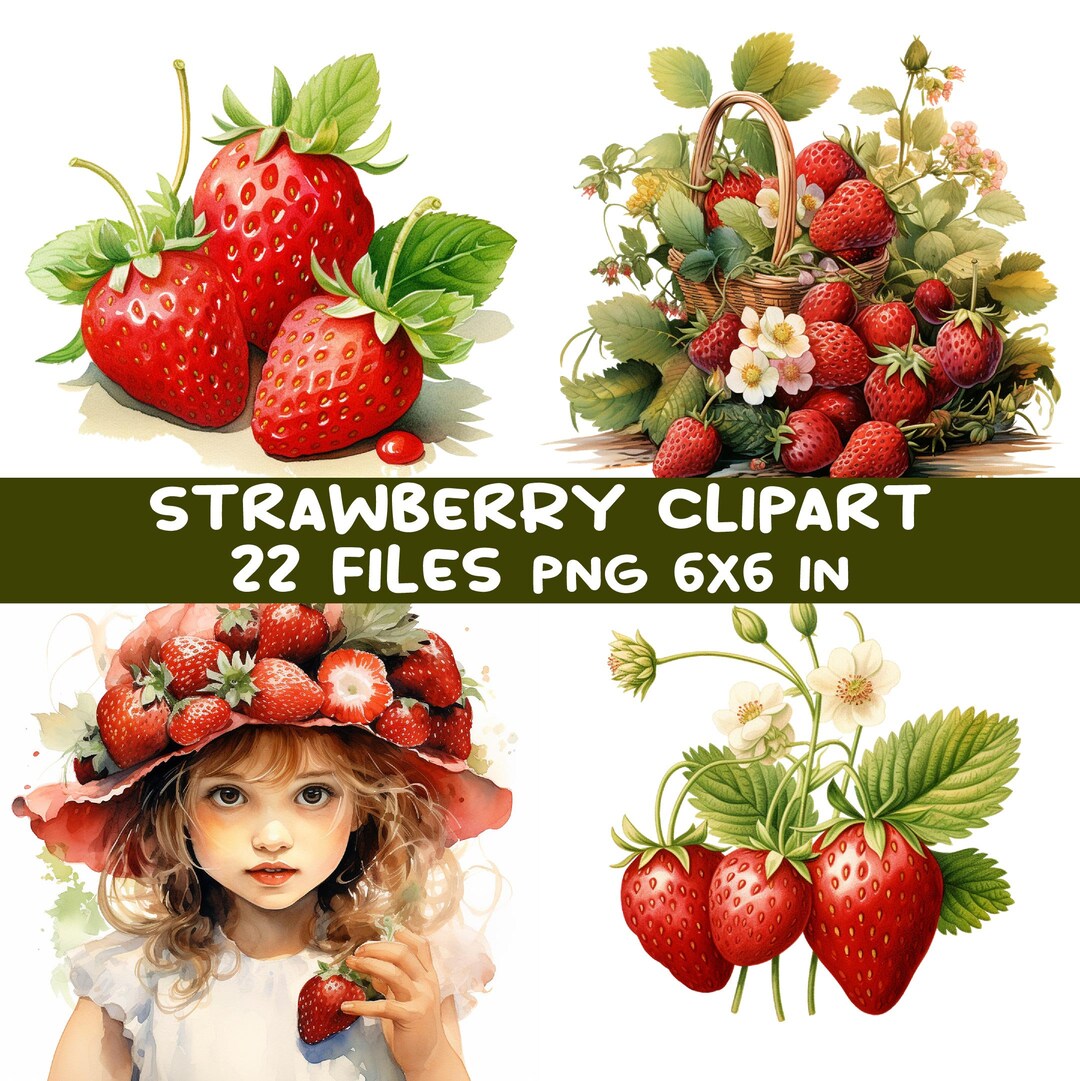 21 Strawberry Clipart Bundle, Watercolor Berry PNG, Farmhouse Fruit ...