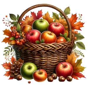 Autumn Apple Basket Clipart PNG, 12 Rustic Fall Harvest Illustration ...