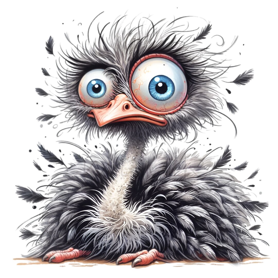 Ostrich Clipart, Emu Clip Art, 15 PNG Funny Bird - Etsy