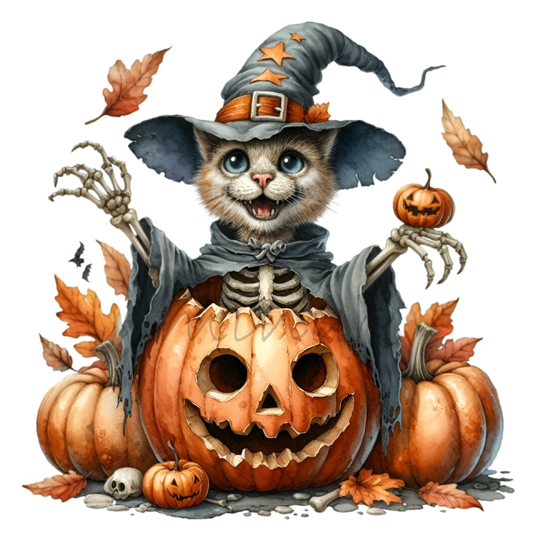 14 PNG Skeleton Cat Halloween Clipart – Witch Pumpkin Cat PNG – Spooky ...