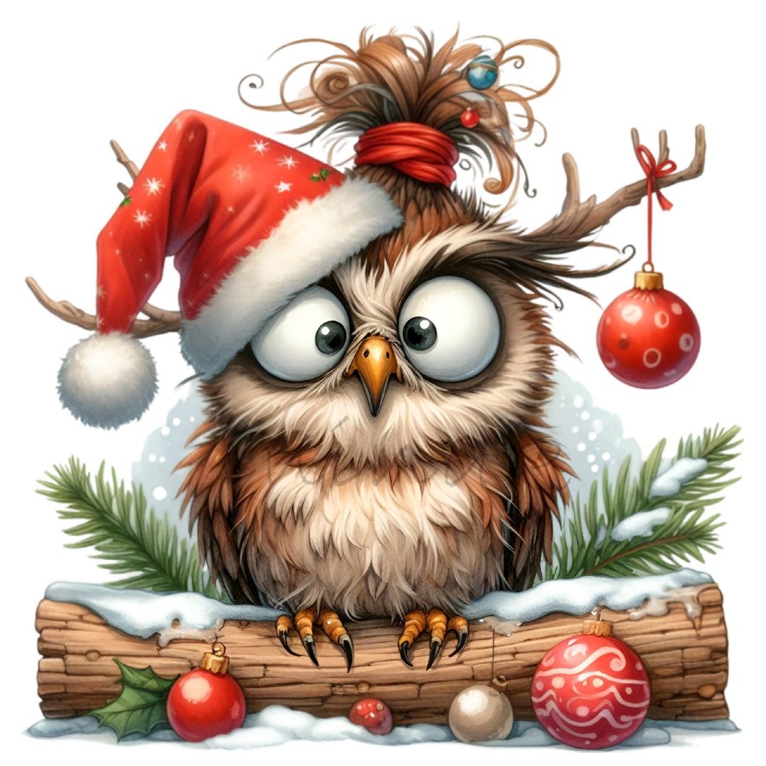 Christmas Owl Clipart PNG, 15 Cute Owl With Santa Hat and Ornaments ...