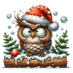 Christmas Owl Clipart PNG, 15 Cute Owl With Santa Hat and Ornaments ...