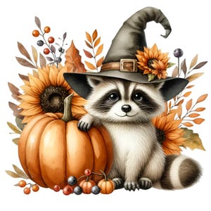 Raccoon Witch Clipart With Pumpkin and Sunflowers, Autumn Harvest Art ...