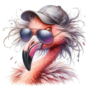 Cool Flamingo Clipart - 14 Sunglasses & Cap PNG, Trendy Animal ...