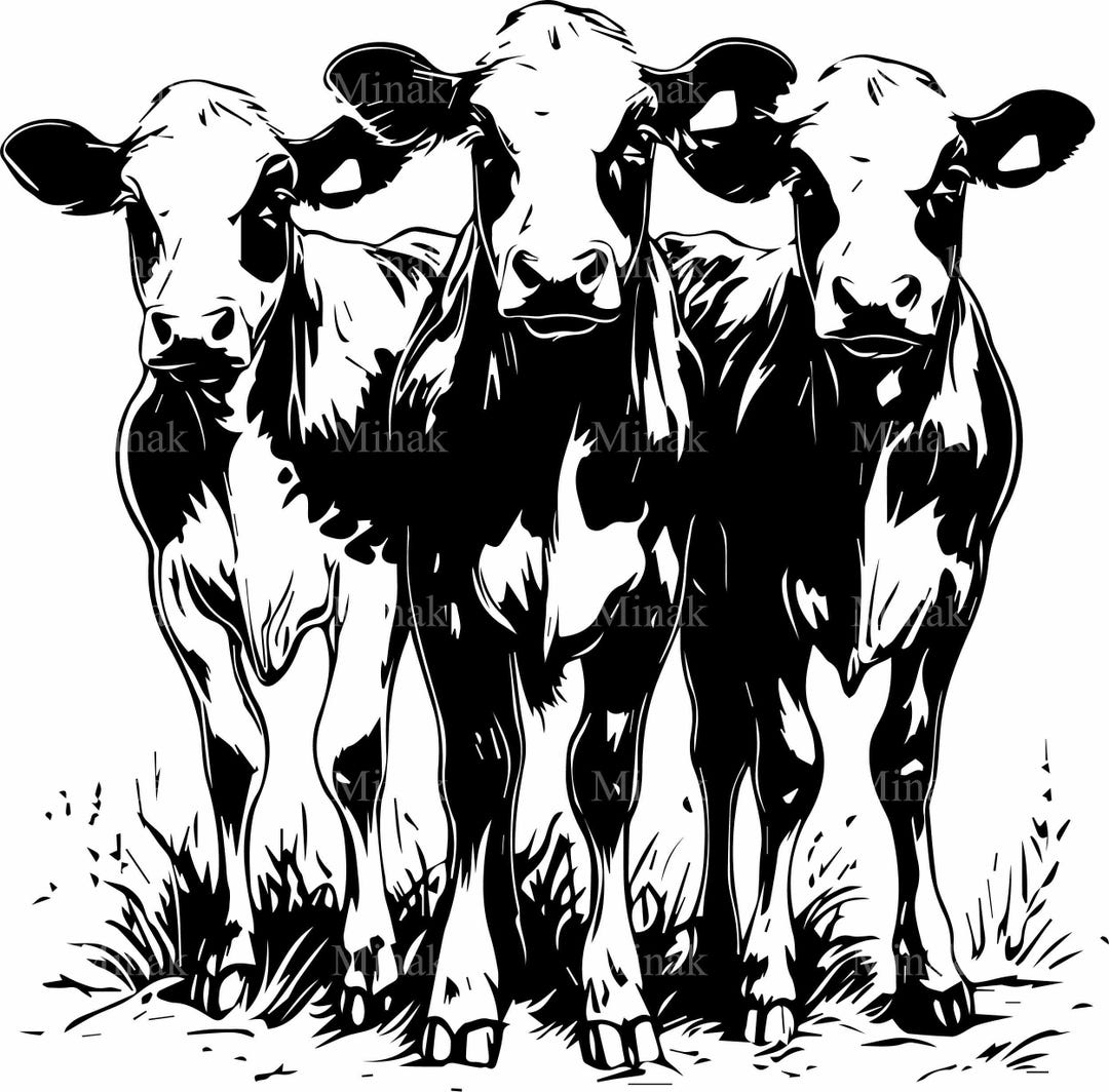 7 SVG Farm Cows SVG Cut File - Three Angus Calves Standing in Grass ...