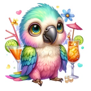 Parrot Clipart PNG, Cocktail Clip Art, 10 Tropical Bird Clip Art, Gift ...