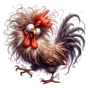 12 Funny Crazy Chicken PNG Clipart With Big Eyes, Messy Feathers ...