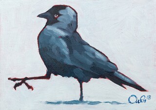 Jackdaw - Etsy