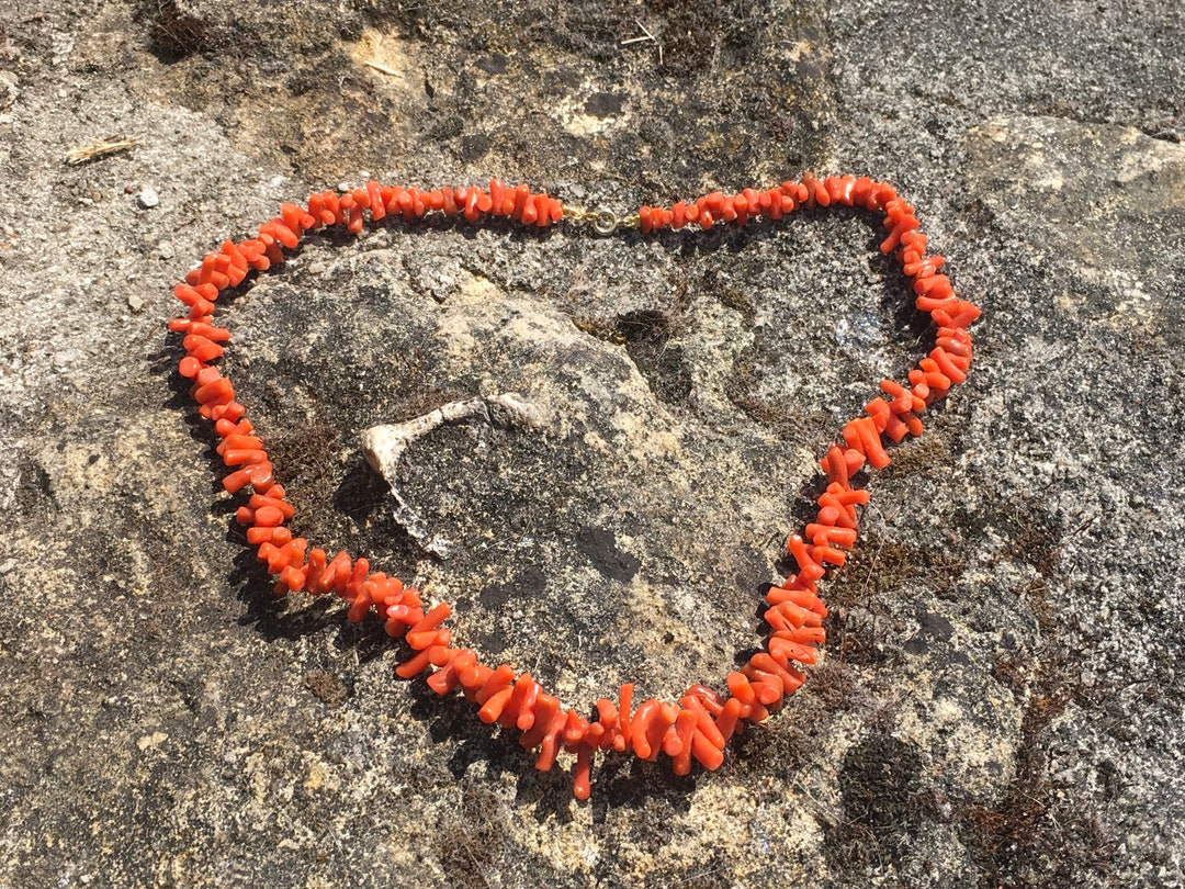 Vintage Genuine Red Coral Fringe Necklace - Etsy