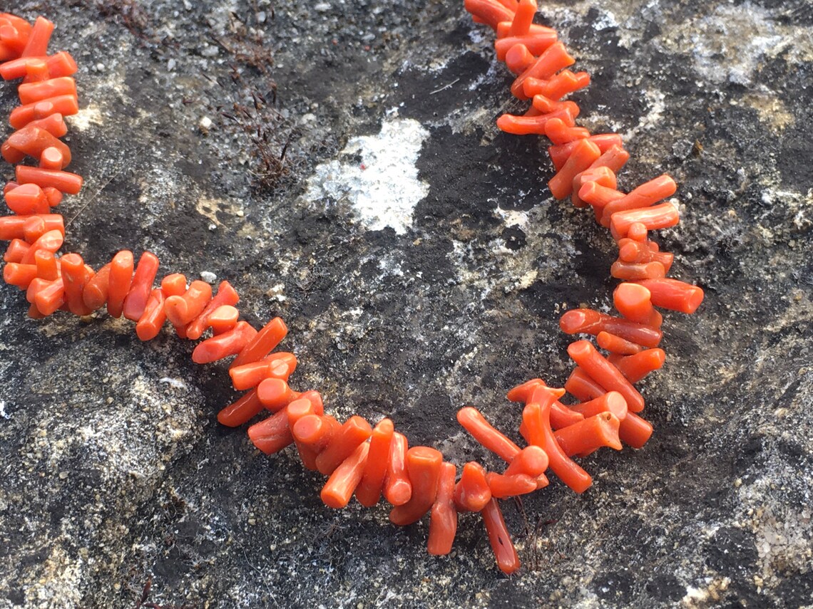 Vintage Genuine Red Coral Fringe Necklace - Etsy