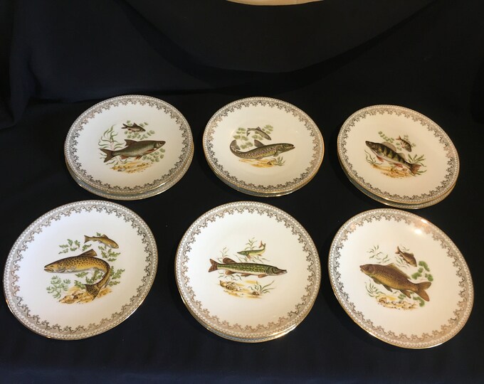 Set of 11 Porcelain De Limoges Fish Dinner Plates - Etsy
