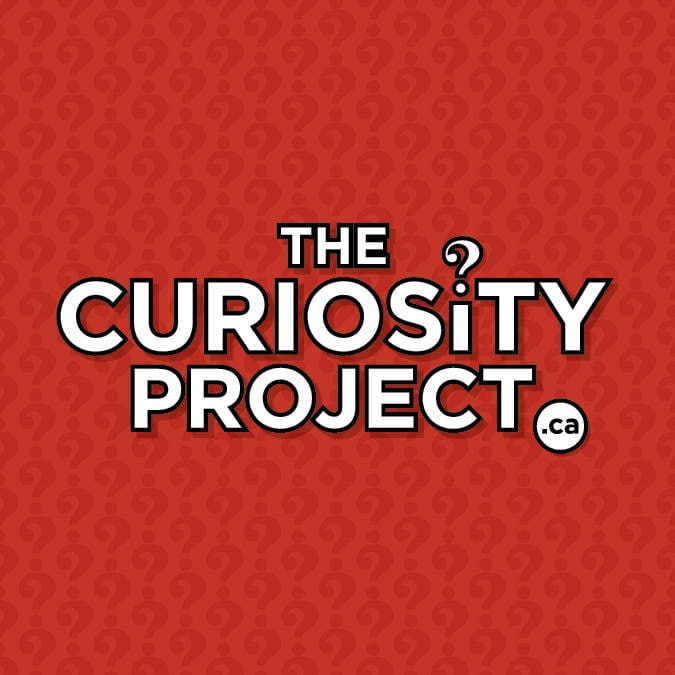 The Curiosity Project Conversation Cards - Etsy