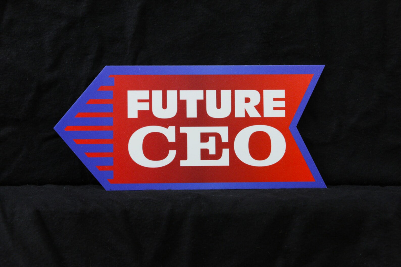 Future CEO Photo Booth Prop PVC Durable | Etsy