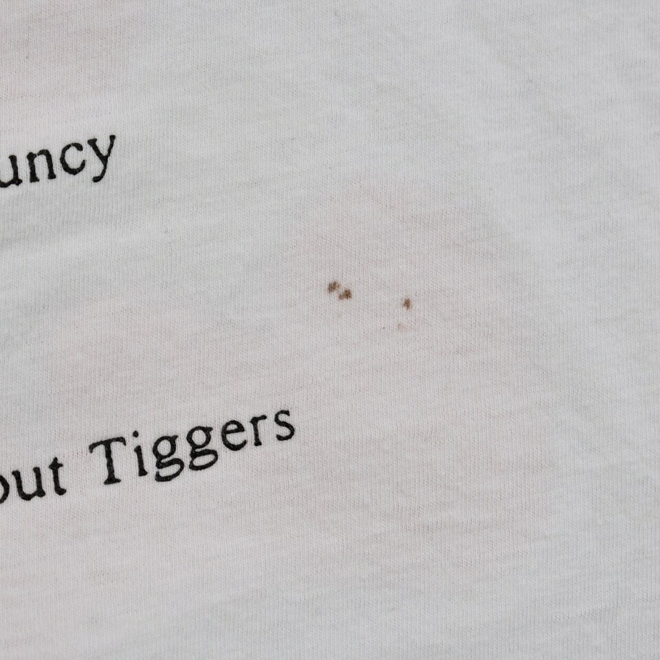 Vintage Early 1990s Tigger Graphic T-Shirt sold by Kabir Barday | SKU ...