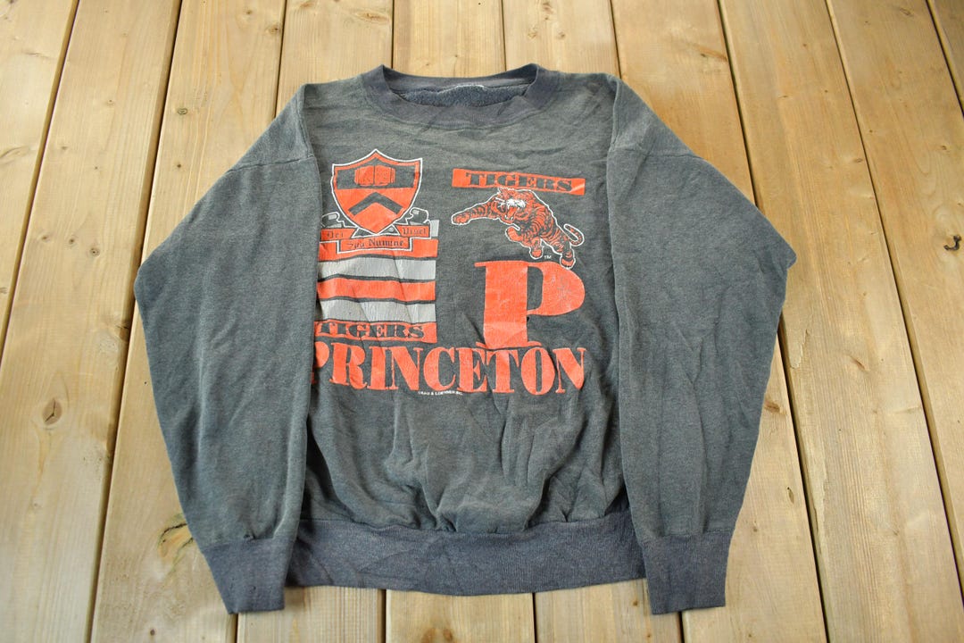 Vintage 1990s Princeton University Crewneck / Vintage Collegiate ...